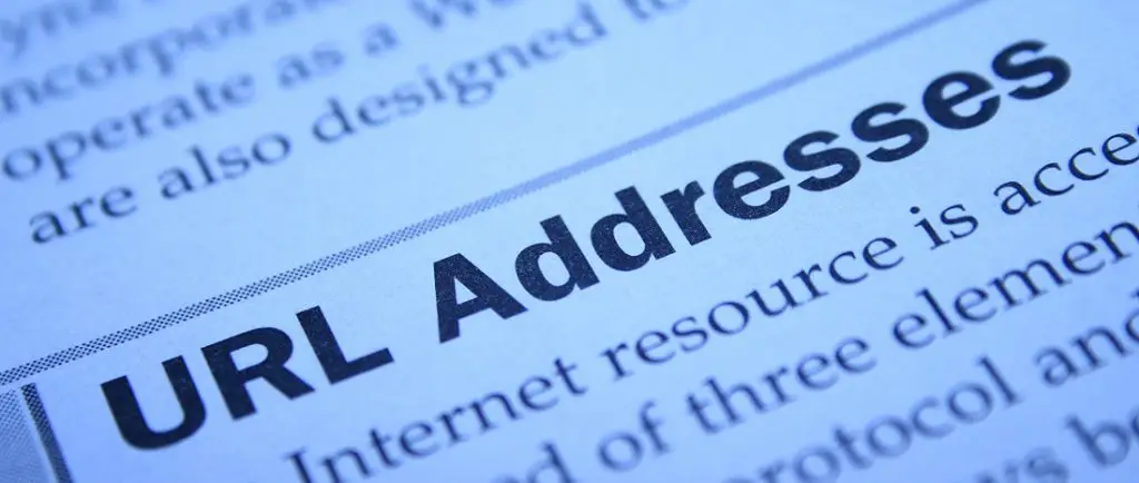 What Does URL Mean A Simple Explanation QuickAnswer